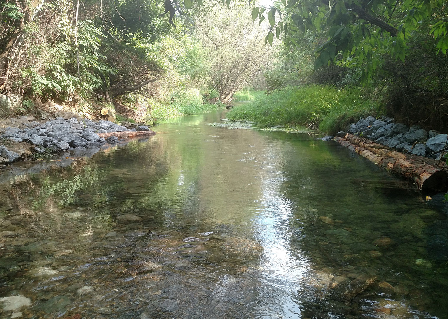 Trindle Spring Run Stream Project - Cumberland Valley Trout Unlimited
